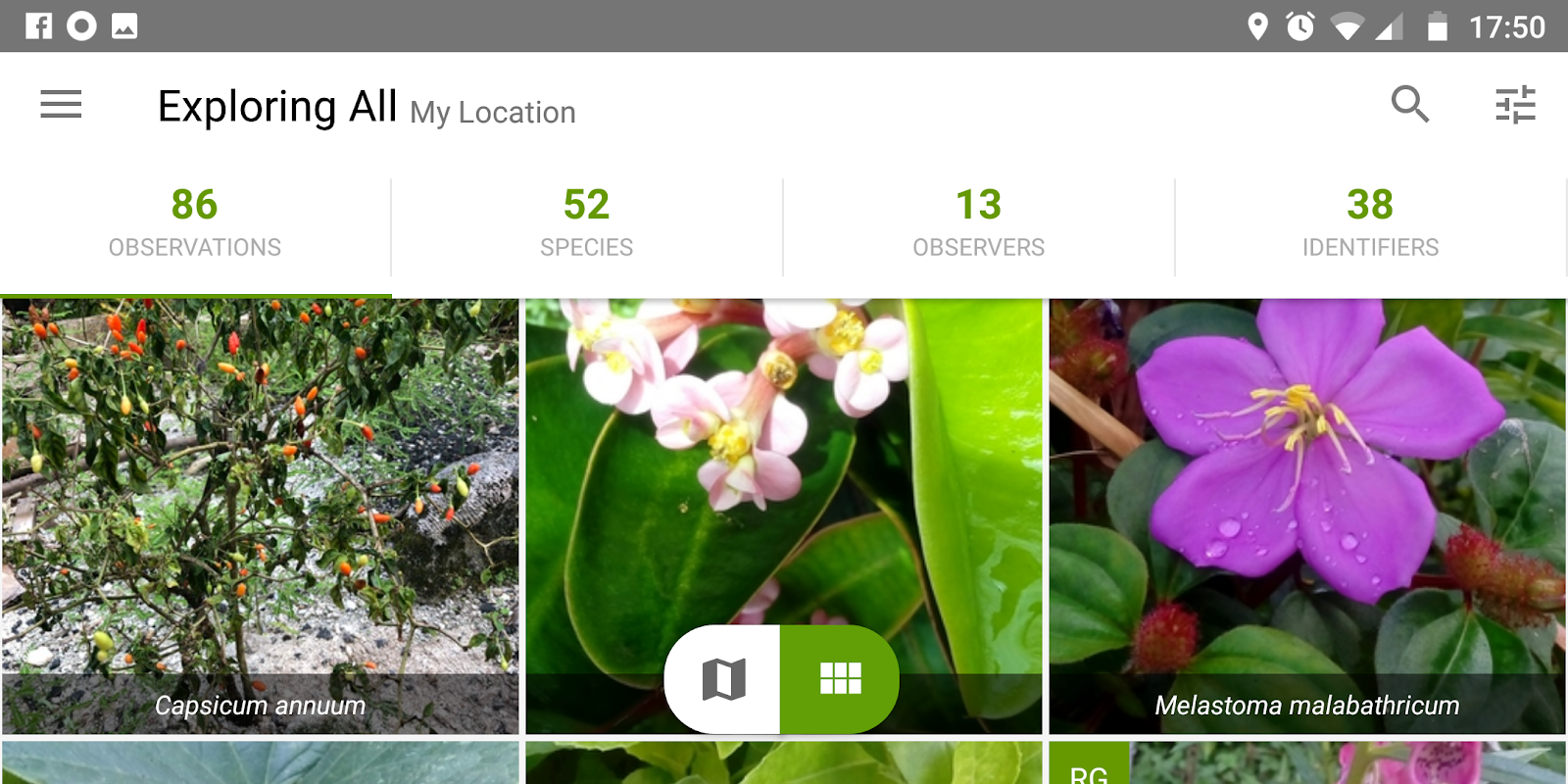 iNaturalist and PlantNet reporting back by the students