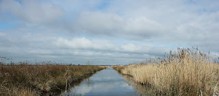 Steve's Birding And Wildlife Blog.: April 2012