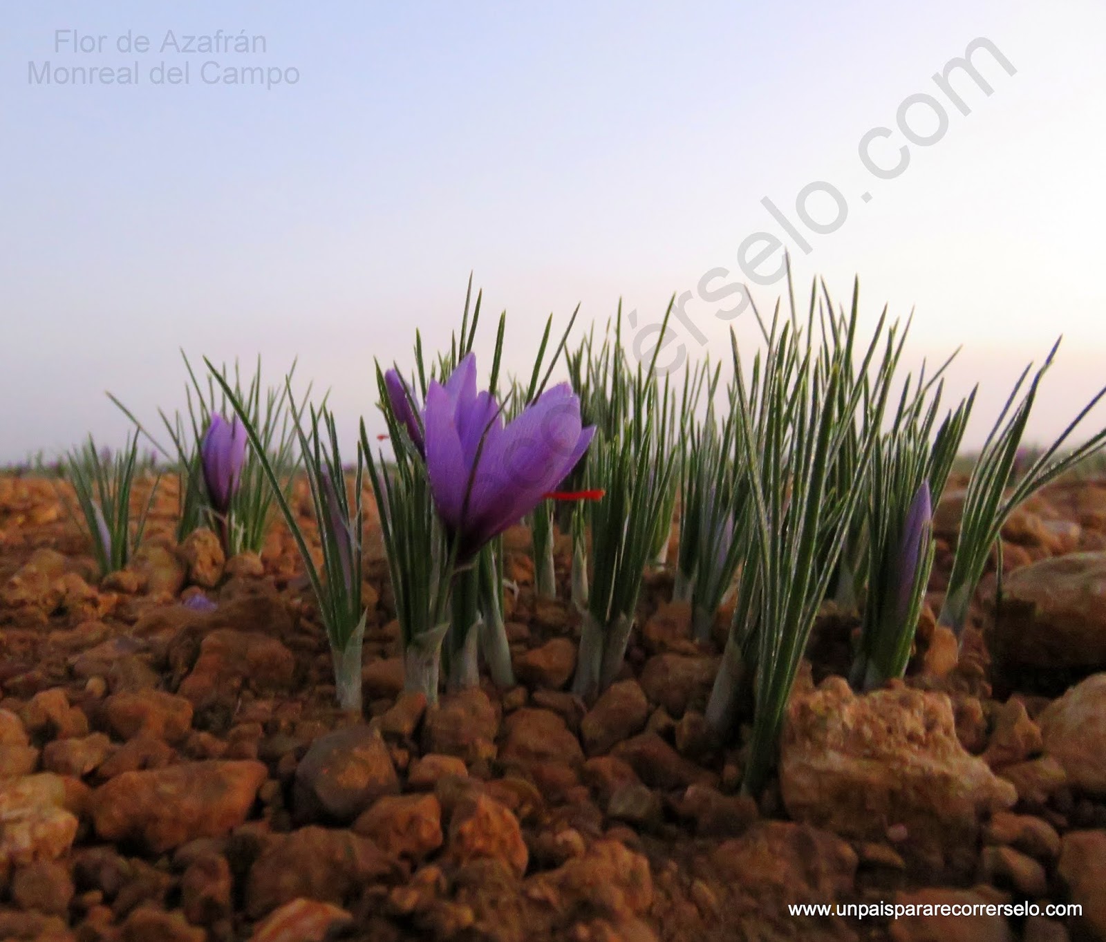 Un país para recorrérselo