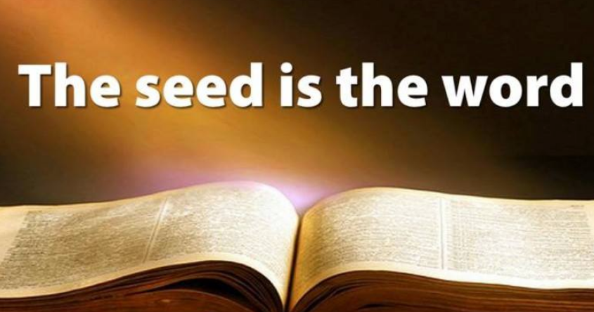 priestdude: Word-Seeds