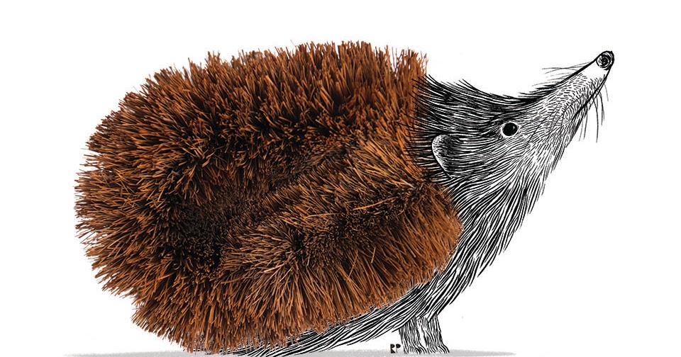 Entrevista ilustrada: Ramón París | Ediciones Ekaré