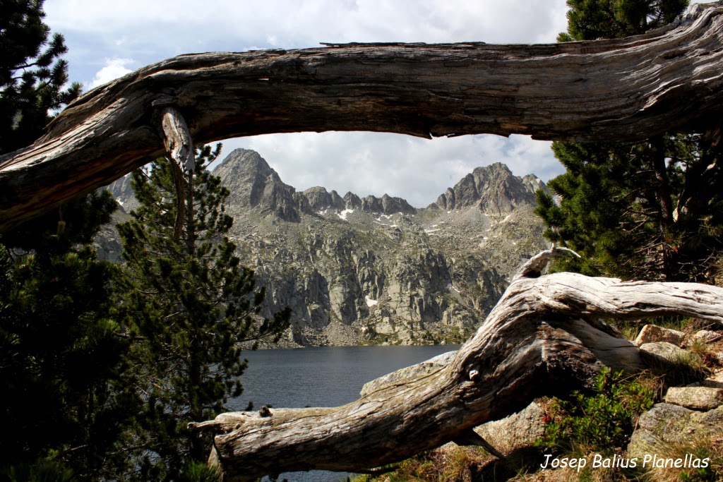 Racons de Catalunya: L'Estany Negre (Espot)