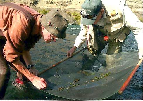 Fly Fishing with Doug Stewart: Streamside Investigation of a River and ...