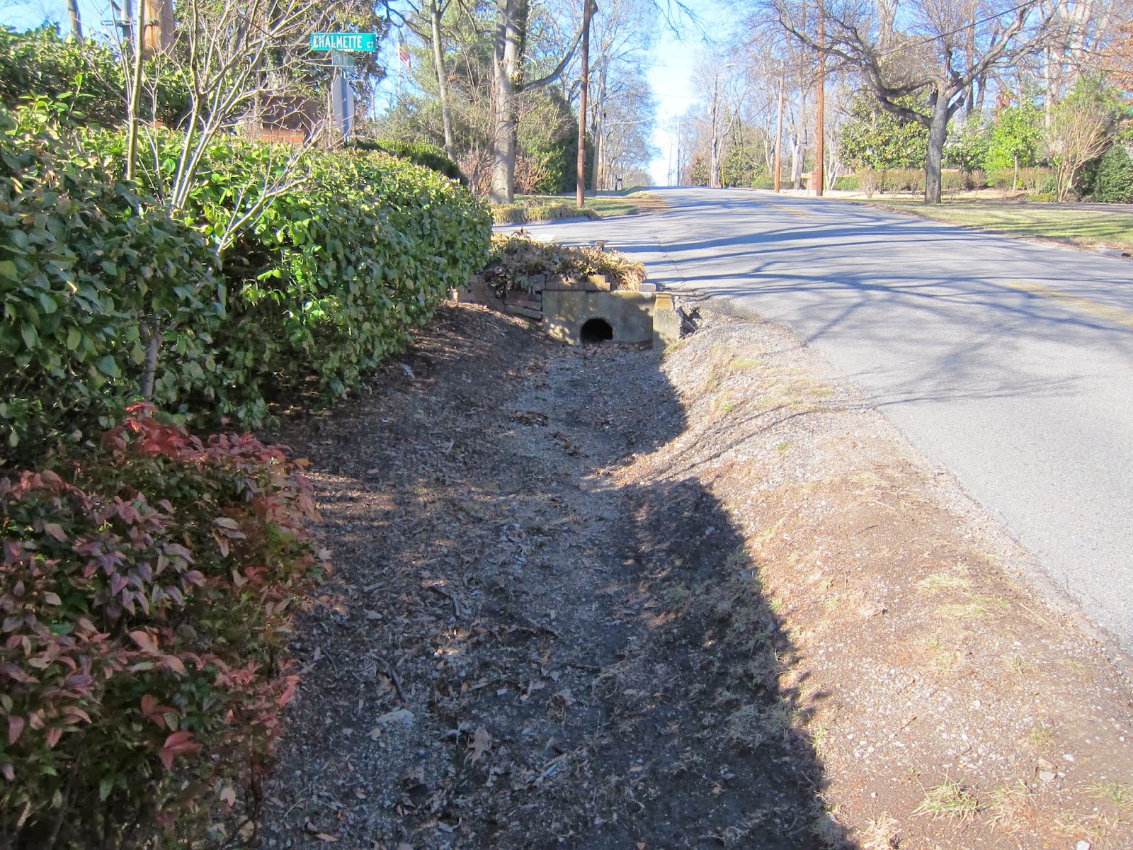 Shade Parade: Sidewalk Project #1 - Bowling Av, Survey Results ...