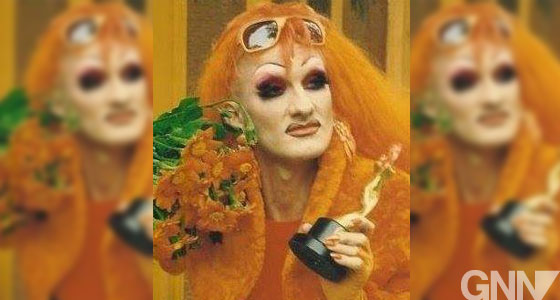 Colleen Windsor: 25 Years of DIVA Hall of Fame