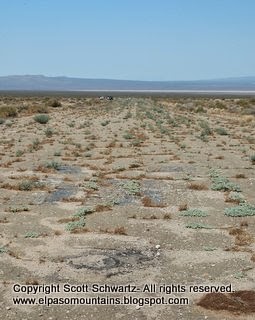 Mojave Desert Diary...: Forgotten Mojave: Abandoned Air Strip At ...