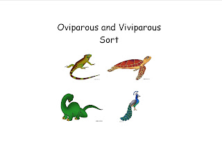 Classroom Freebies Too: Oviparous animals Sort