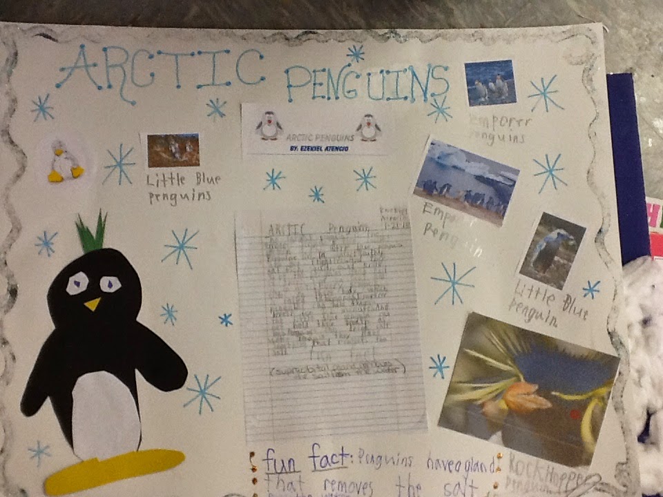 First Grade Corner: Arctic Animal Posters