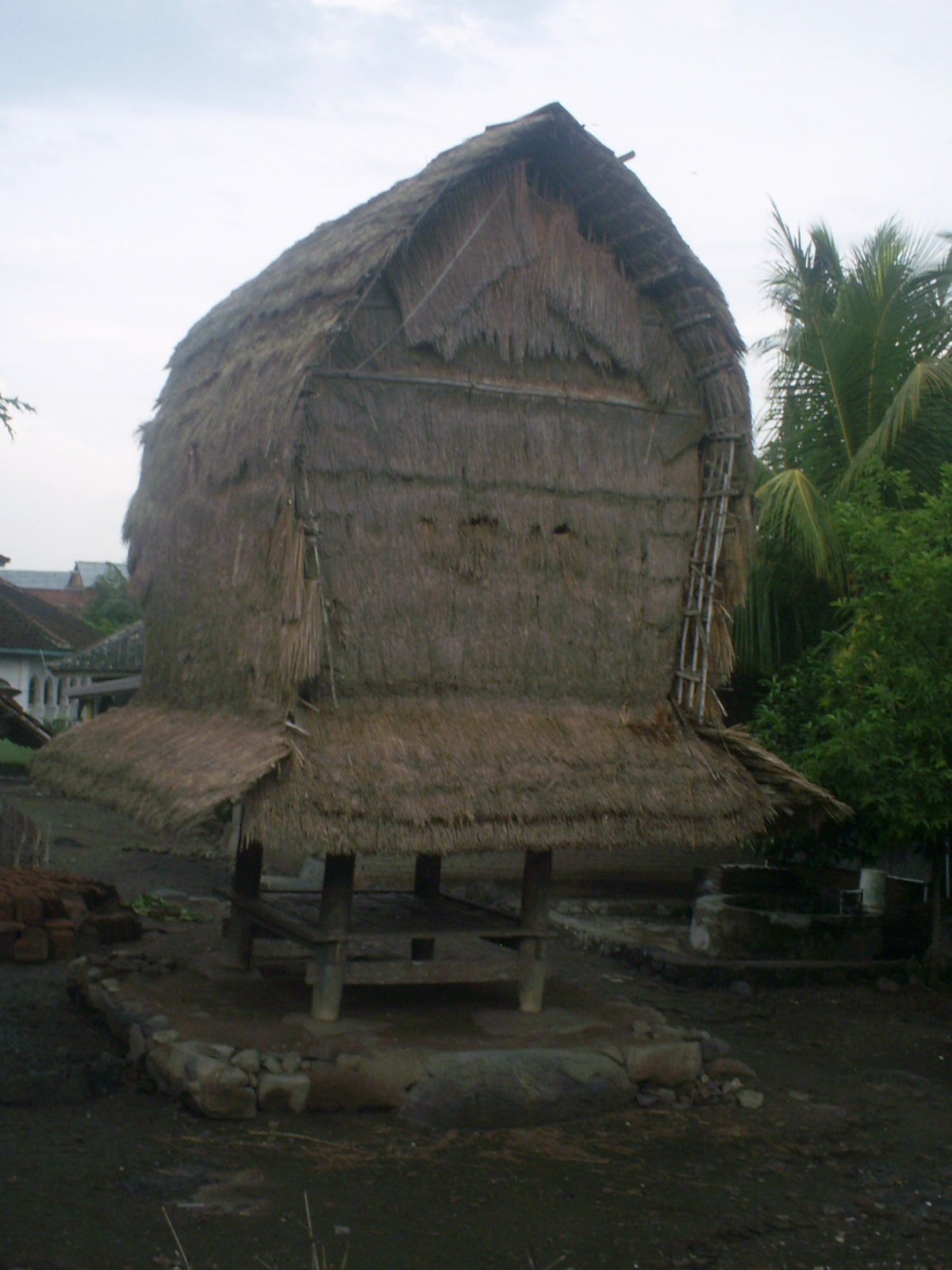 Lumbung Padi Orang Lombok ~ TERNAK TUYUL