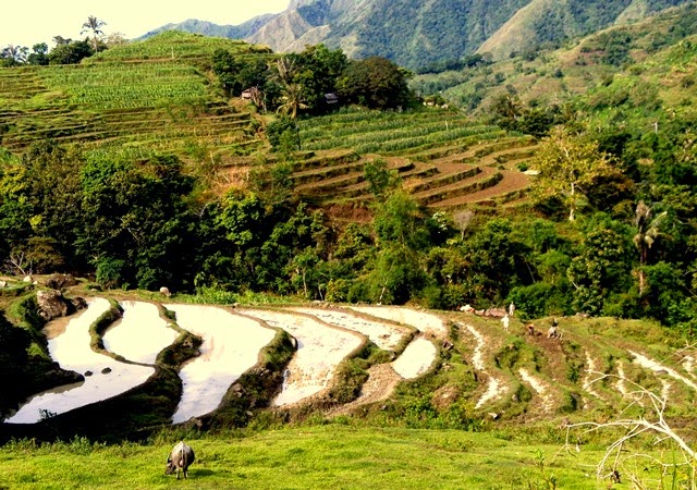 mybeautifulILOILO: Enjoying the Bounty of Nature in Miagao