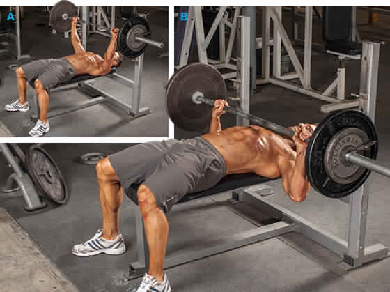 Fitness & Workout: 6 Best Chest Exercises For Building Muscle