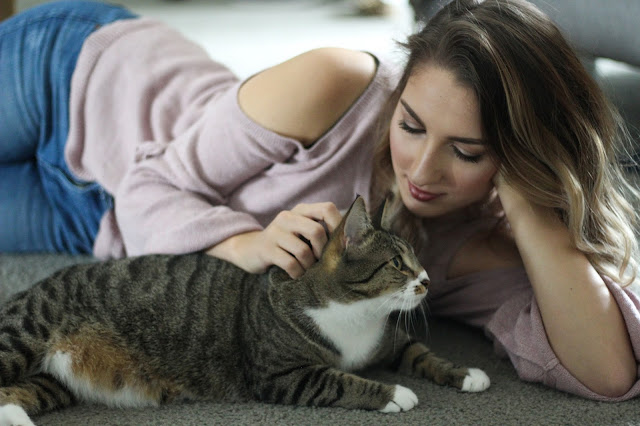 THREE WAYS TO SPOIL YOUR KITTY | A Classy Fashionista