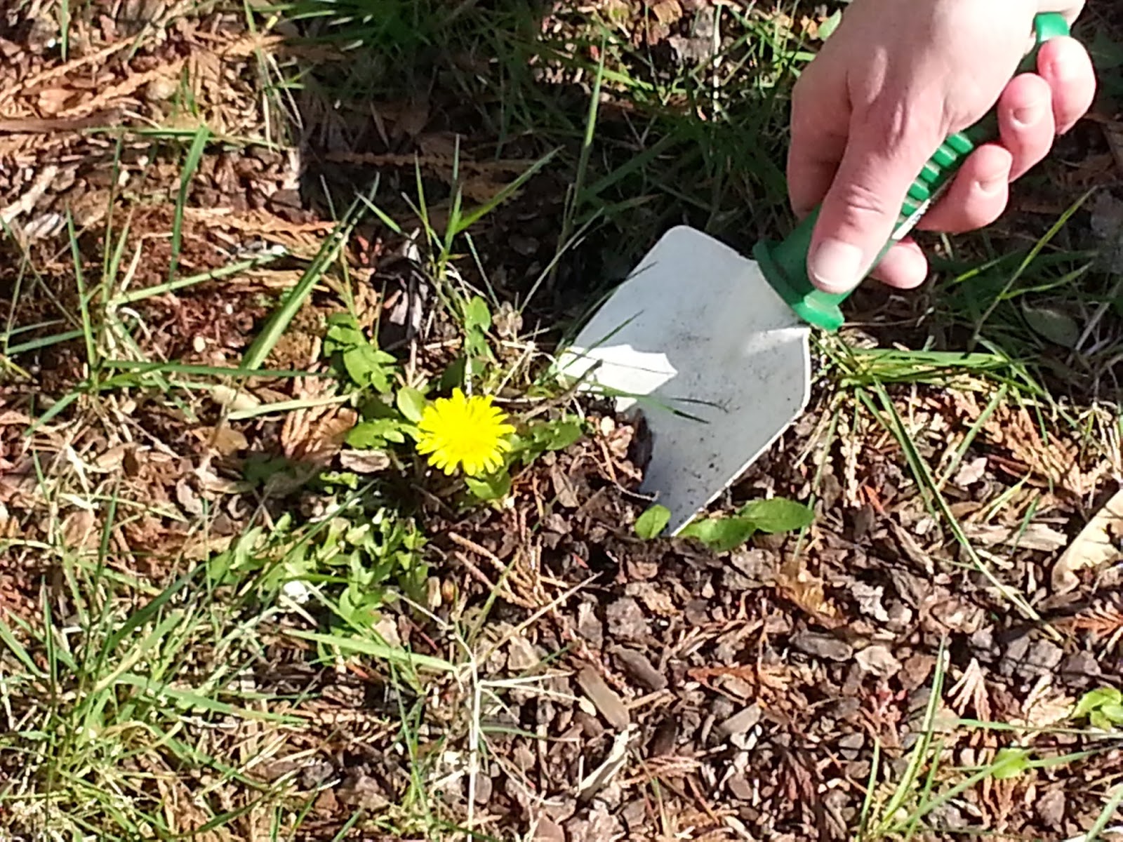 Faculty Learning Express: 2014