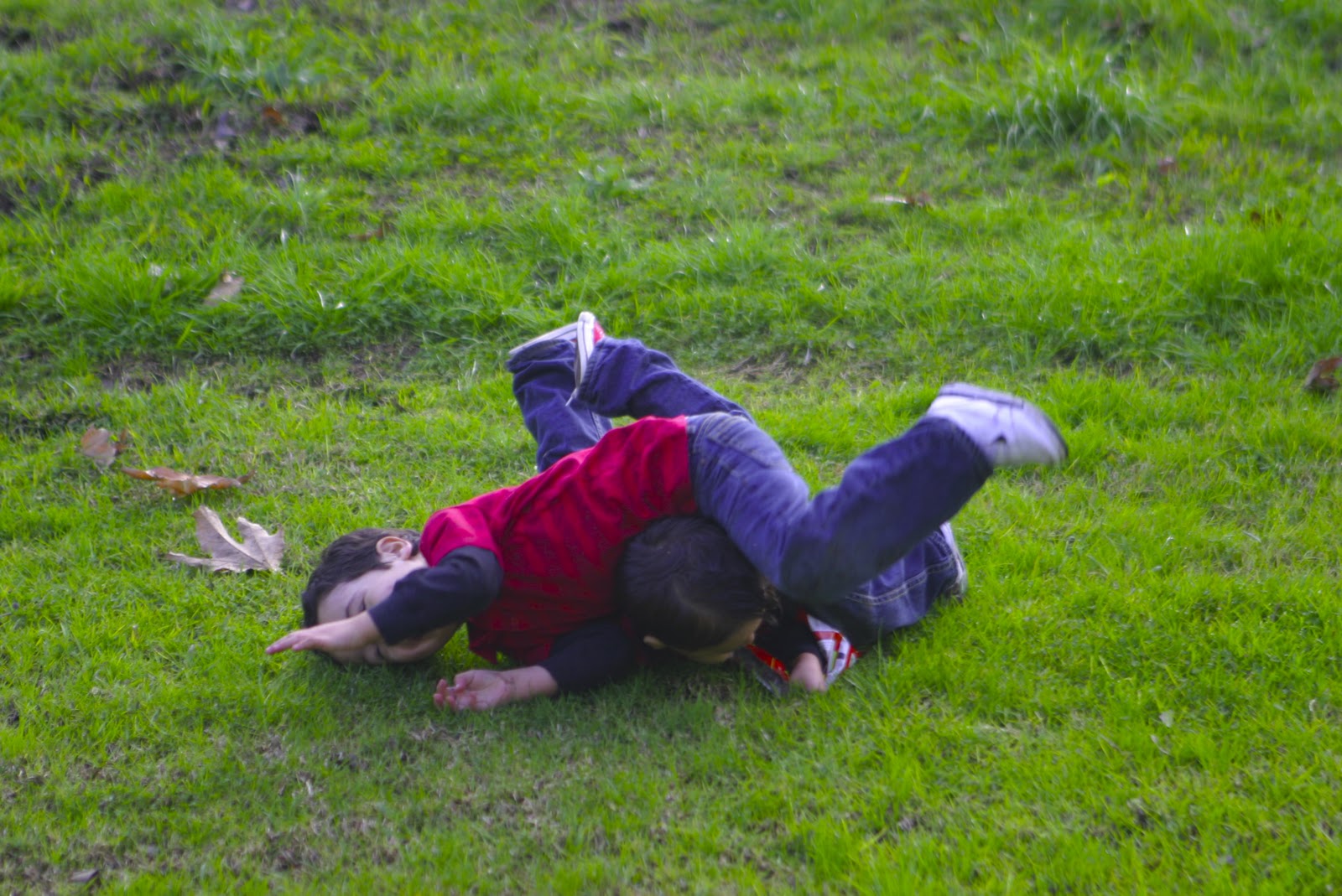 Life in the Jacoby House