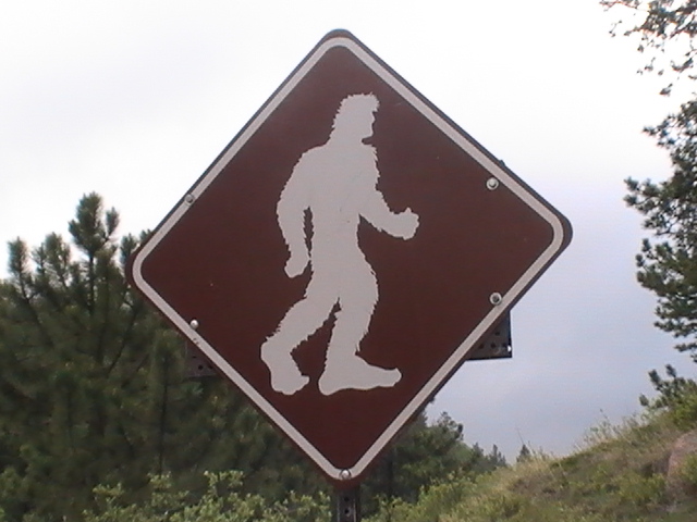 Sam Ruff Blog: The Sasquatch