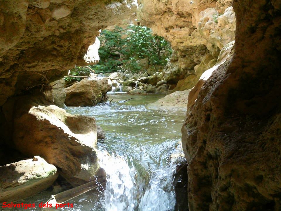 trotasendas: Estupenda y refrescante ruta acuática remontando el río Sénia