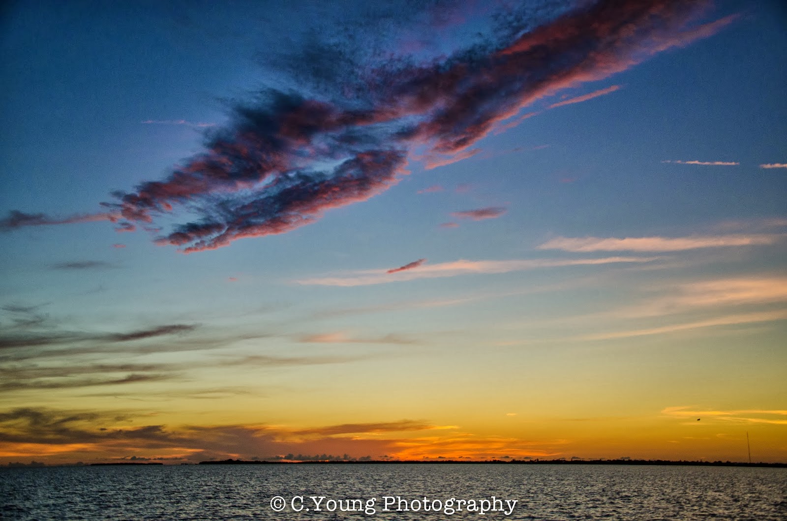 Young Adventures: Dry Tortugas Trip Day 1