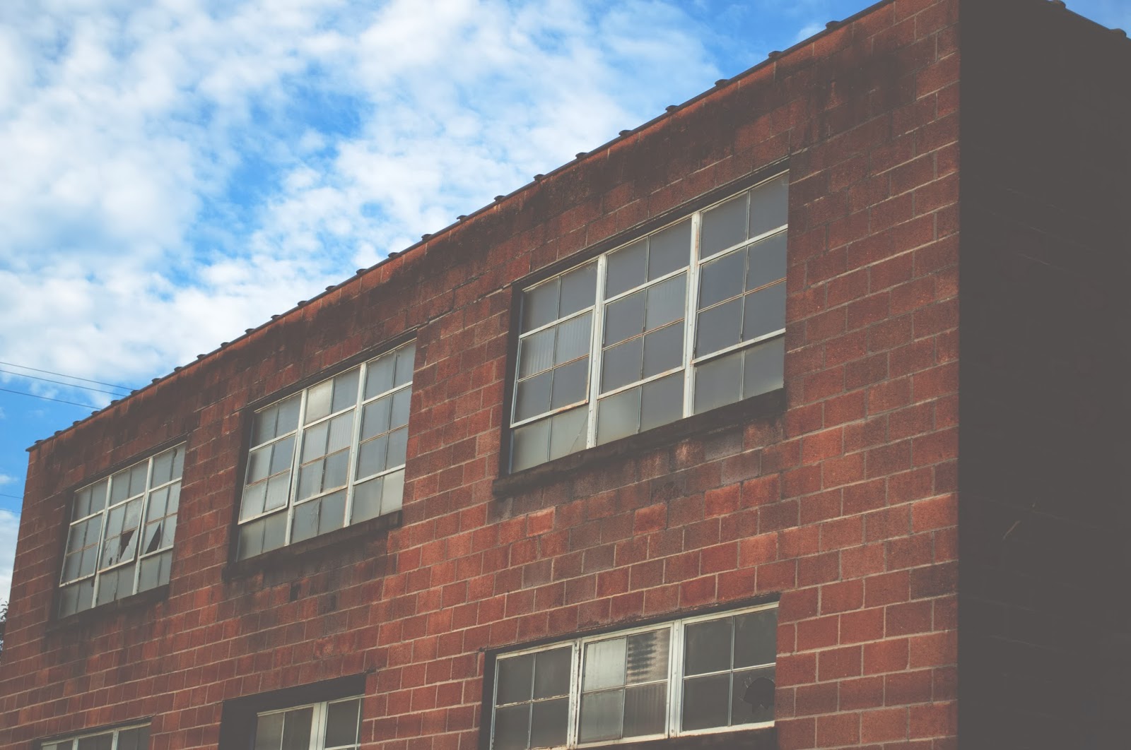 Raeshellia: Neglected Beauty