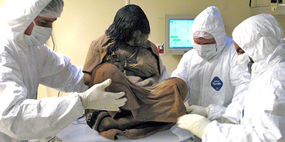three inca children found mummified atop a 20000 foot volcano in south ...