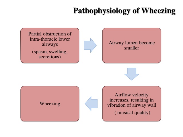 MEKANISME WHEEZING - Iswary Halwadini