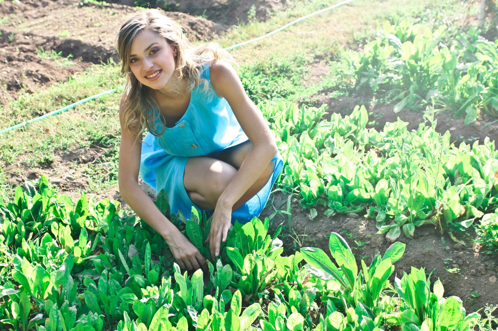 Organic Farming Information About Organic Farming organic-farming-information-about-organic-farming