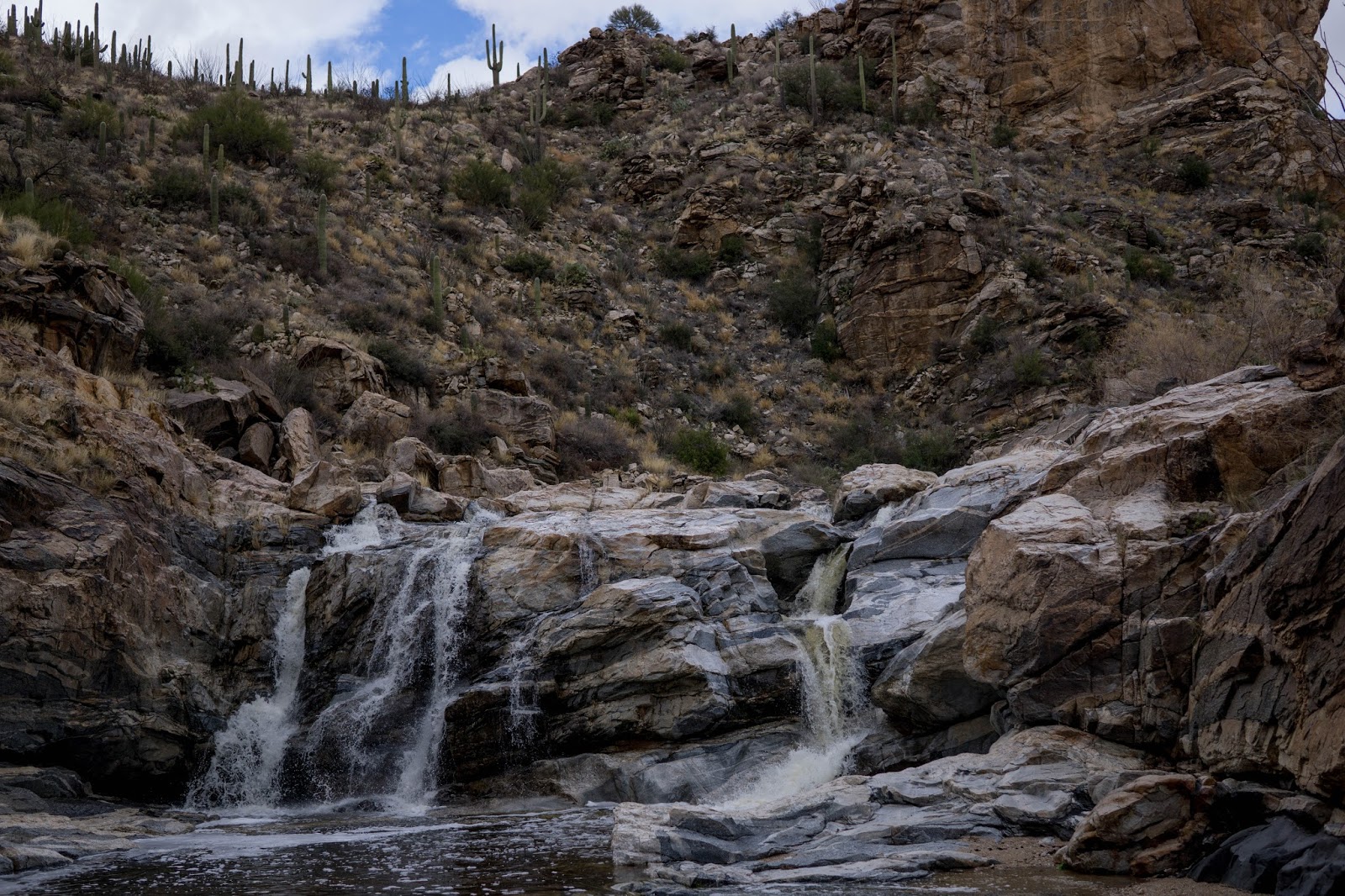 Adventures of the Climbing Kearney Kids: Tucson Bouldering: Redington ...