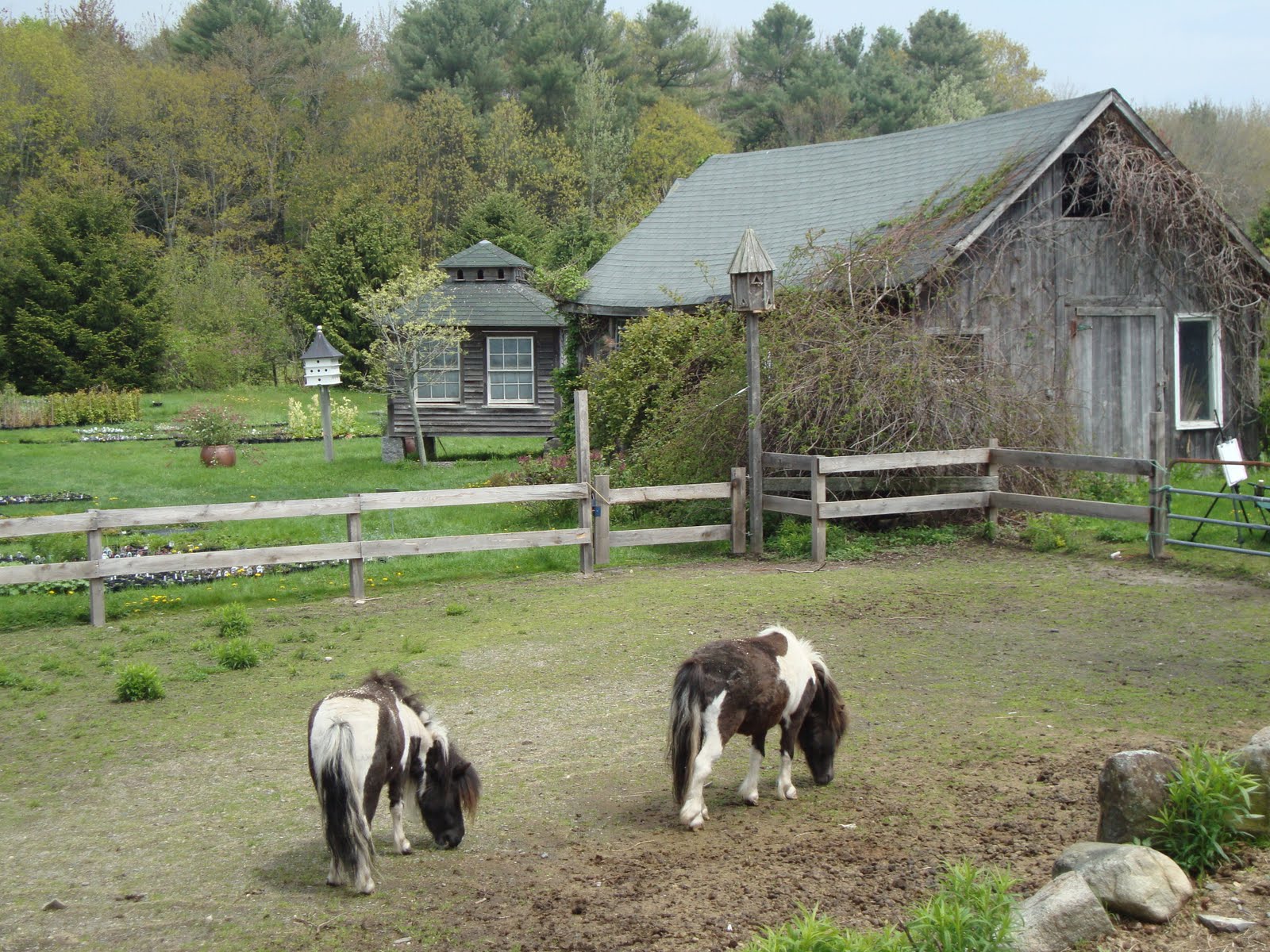 color of inspiration: Snug Harbor Farm in Maine