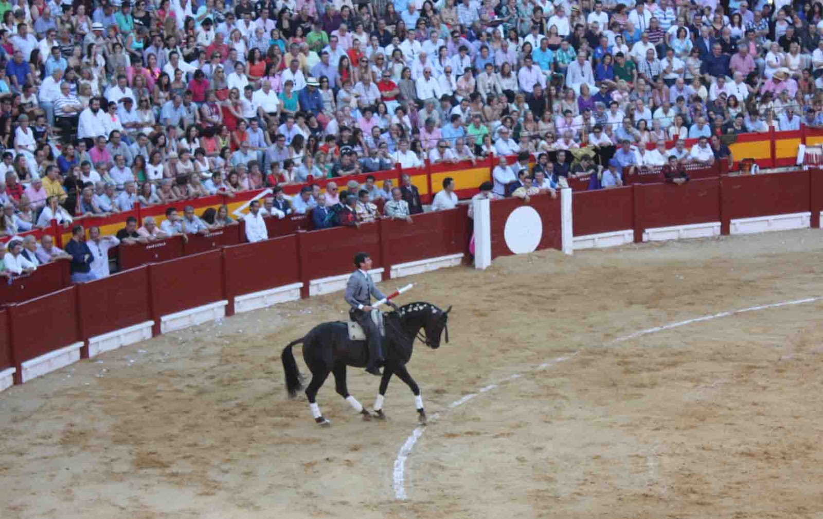 This is Alicante Life: The Spanish tradition of bullfighting
