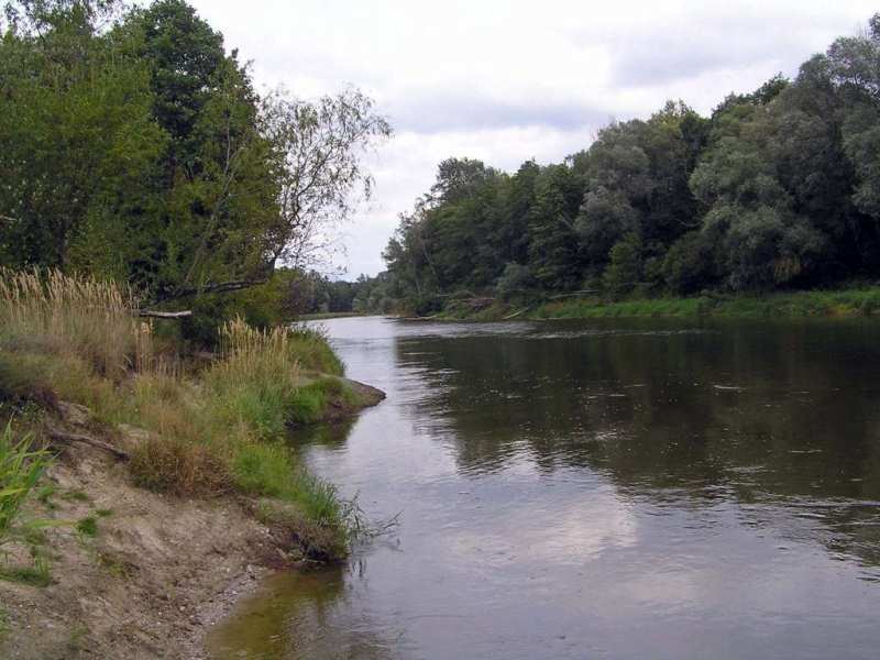 Szeroki Trakt: Rzeka Bug w okolicach Kodnia