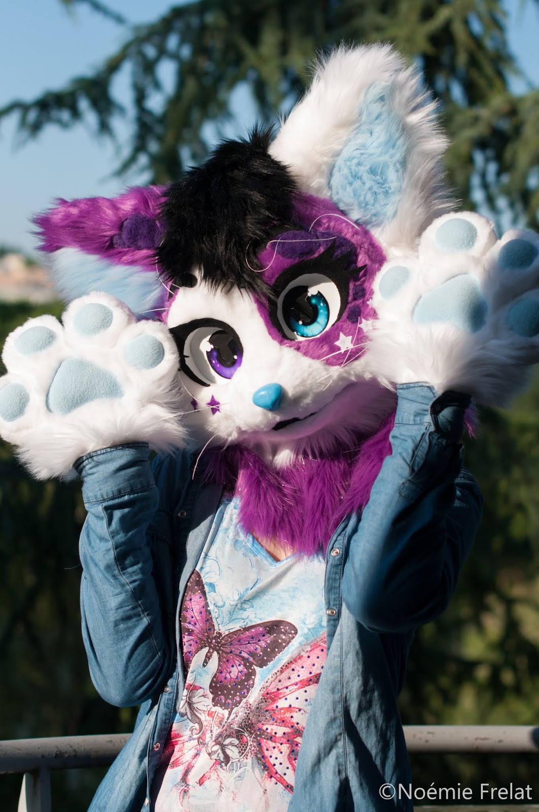 Noémie Photographie's