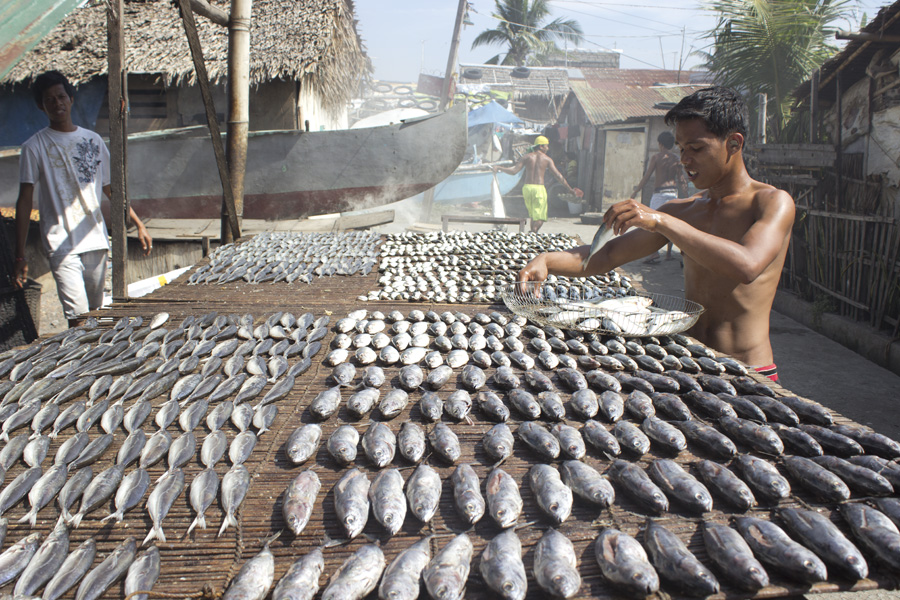 Shutter Gallop: Rosario Fish Port (Rosario, Cavite)