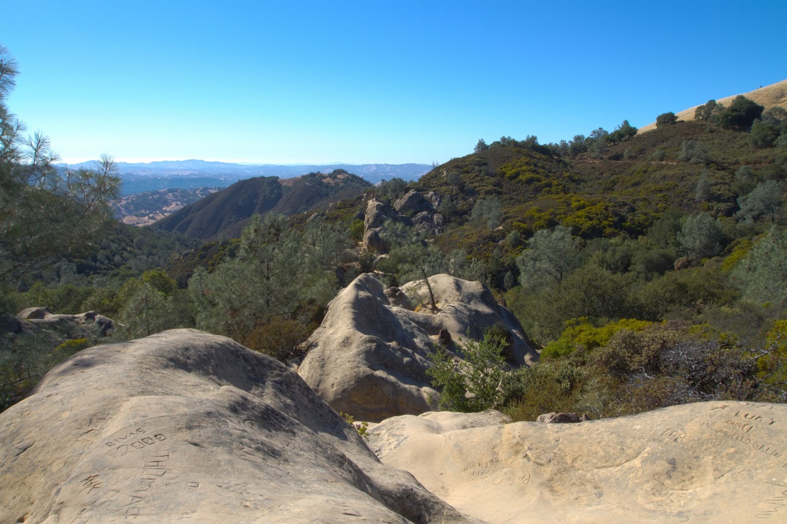 Naturetastic Blog: Mount Diablo State Park (Part 1)