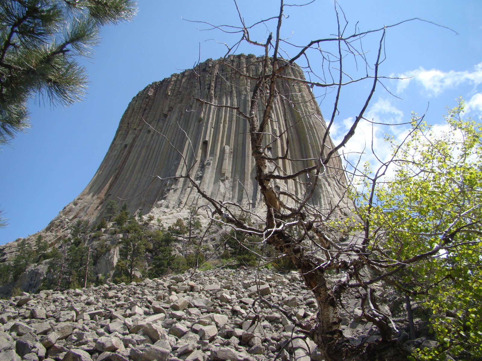 T & T do Yellowstone: Devil's Tower National Monument