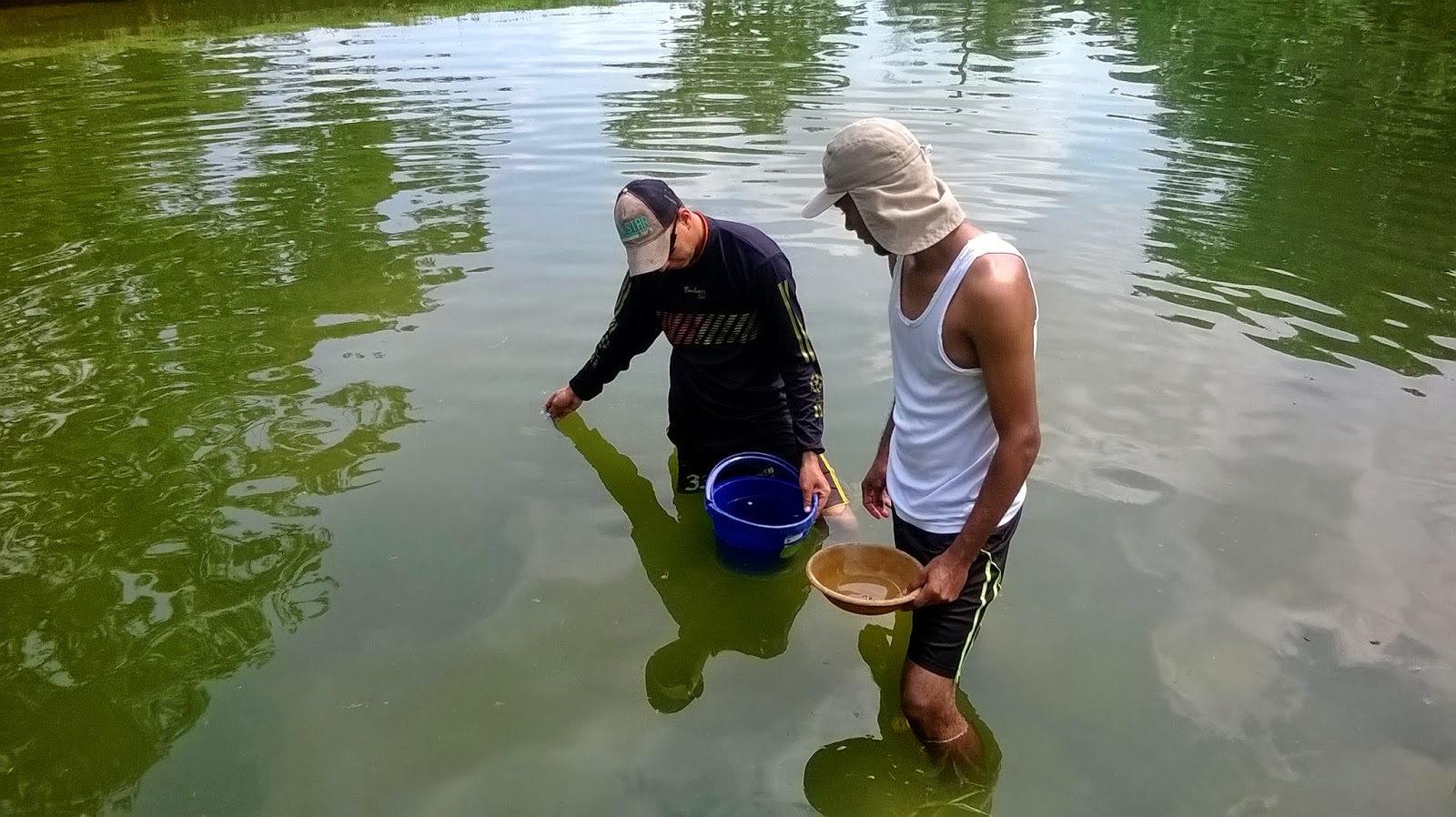 MONOCULTIVO DE CACHAMA (Colossoma sp) ~ ACUICULTURA CÓRDOBA