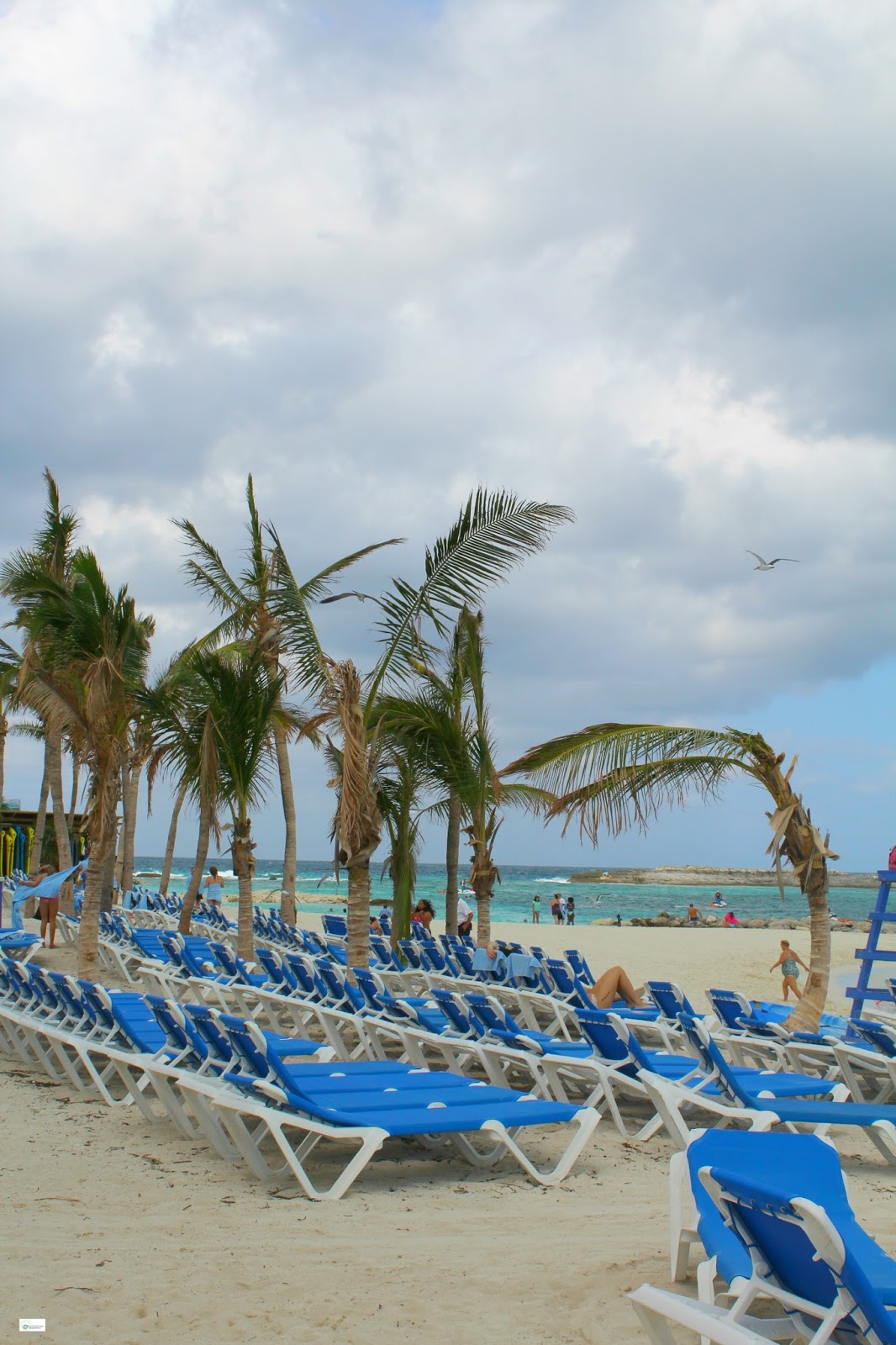 Coco Cay, Bahamas | Caravan Sonnet