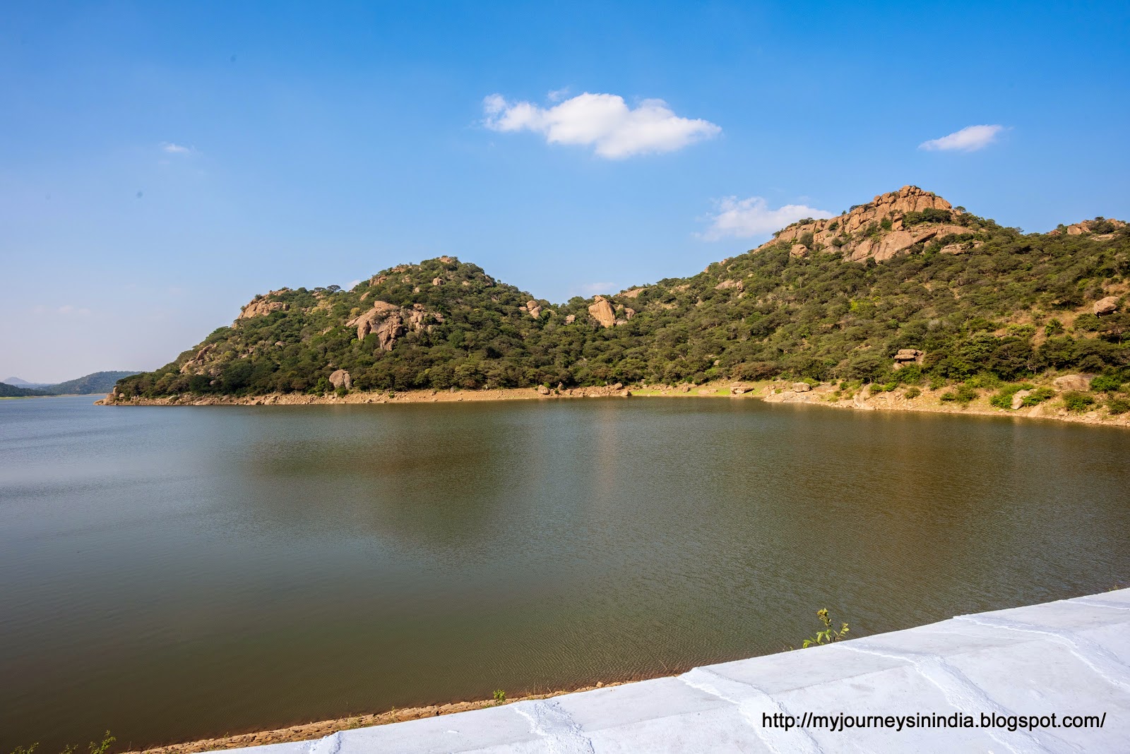 My Journeys In India: Panchapalli Dam Near Hosur and Cattle Egret Fight