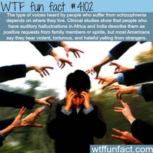 60 Crazy Facts To Truly Blow Your Mind! | Amazing WTF Facts