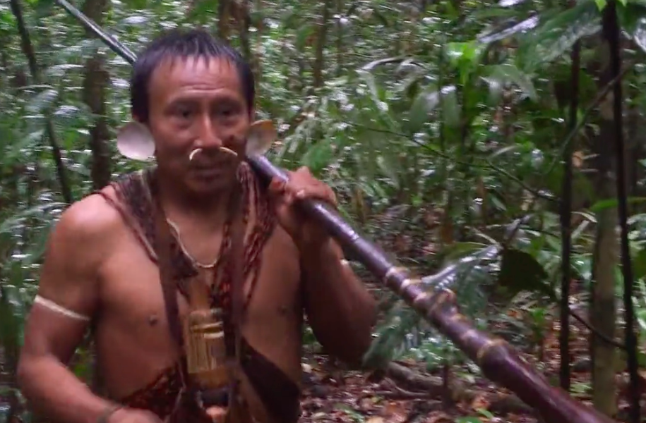 Povos Indígenas Brasileiros: Matis