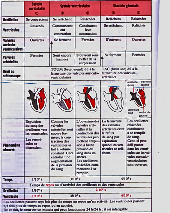 EPS au lycée Rimbaud d'Istres: Modalités et dossier Evaluation ...
