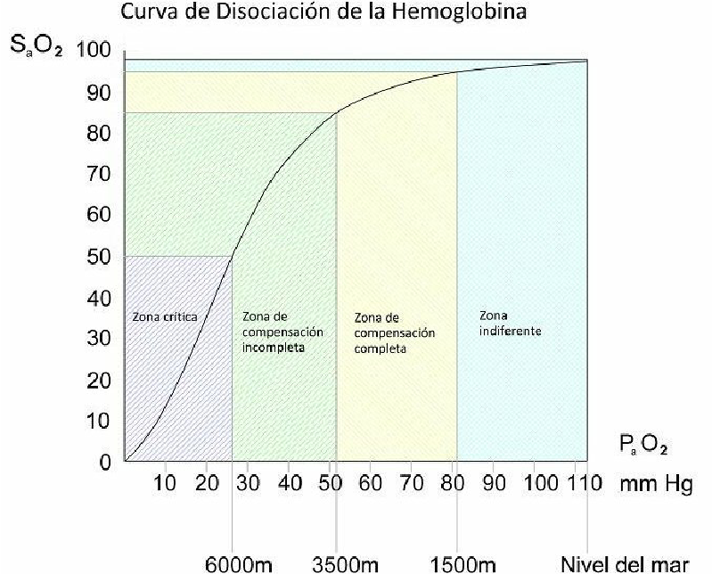 Fisioterapia Respiratoria: Gasometría Arterial