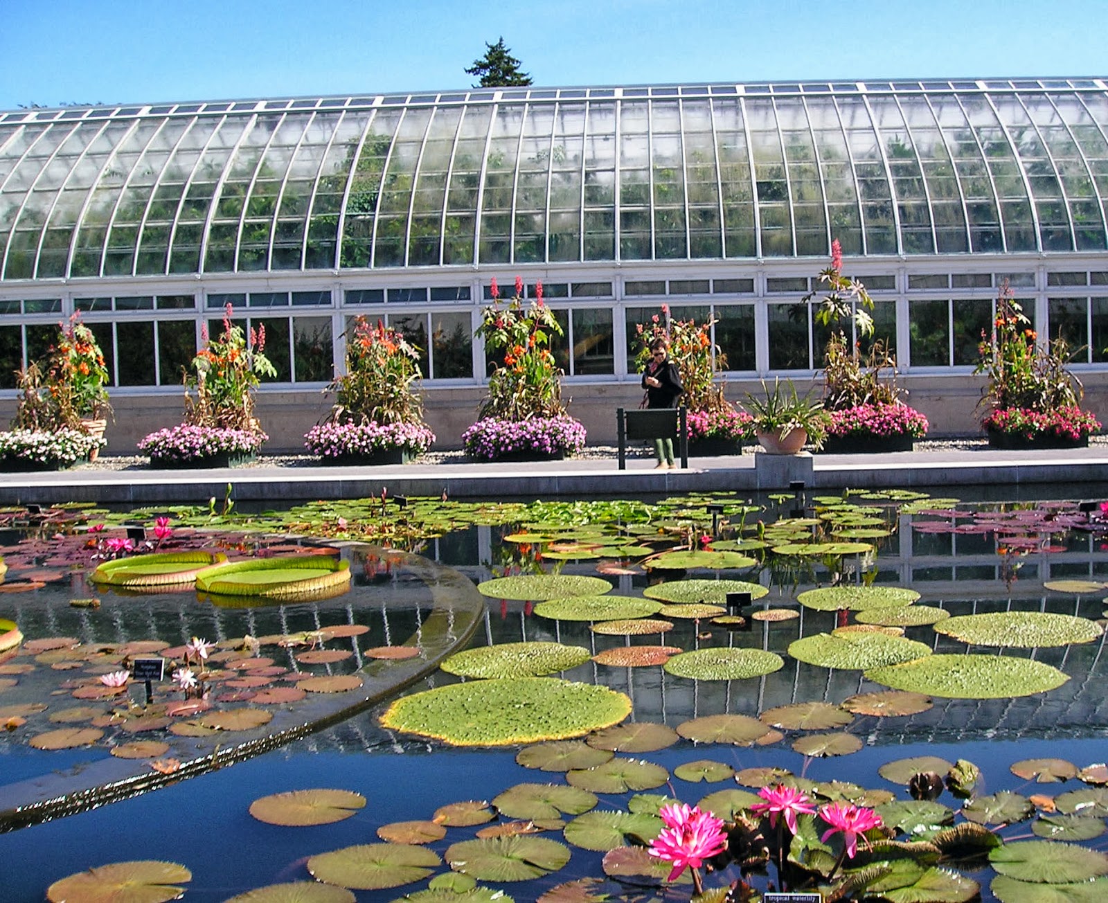 artsaveslives: September 2013