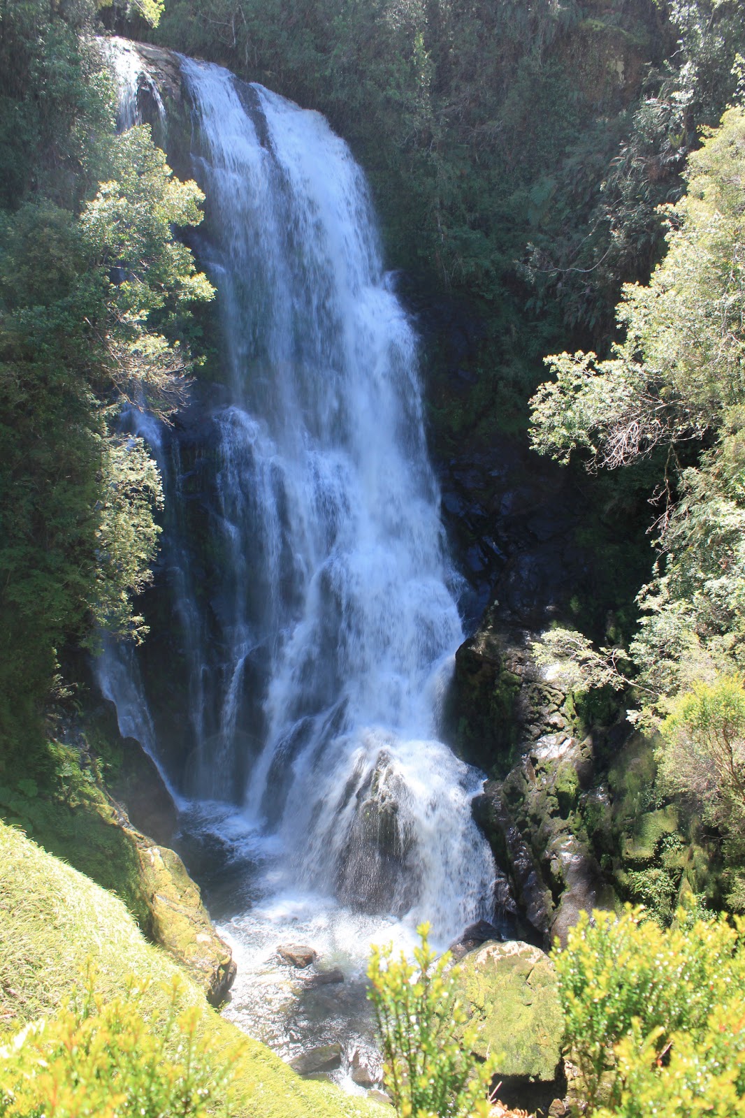 Five Hundred and Five: Parque Pumalín: Cascadas Escondidas