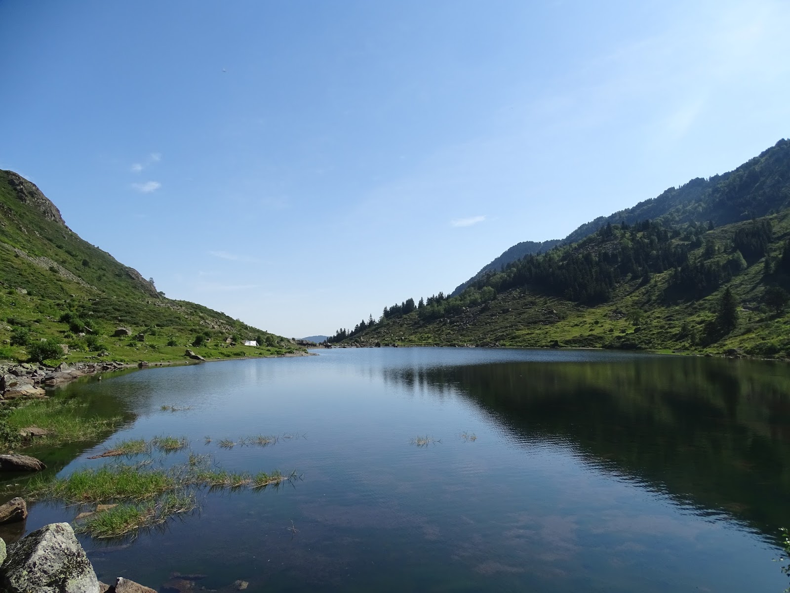 Chroniques du têtard mouillé: Balade tranquille à l'étang de Comte