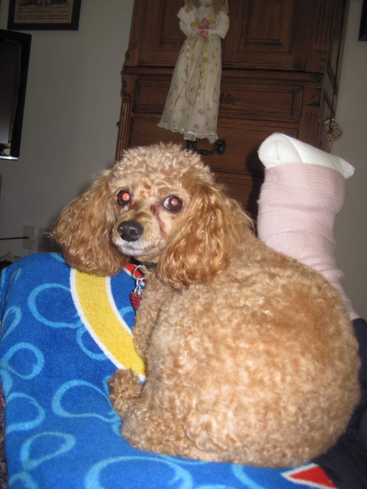 A Stitcher's Heirlooms