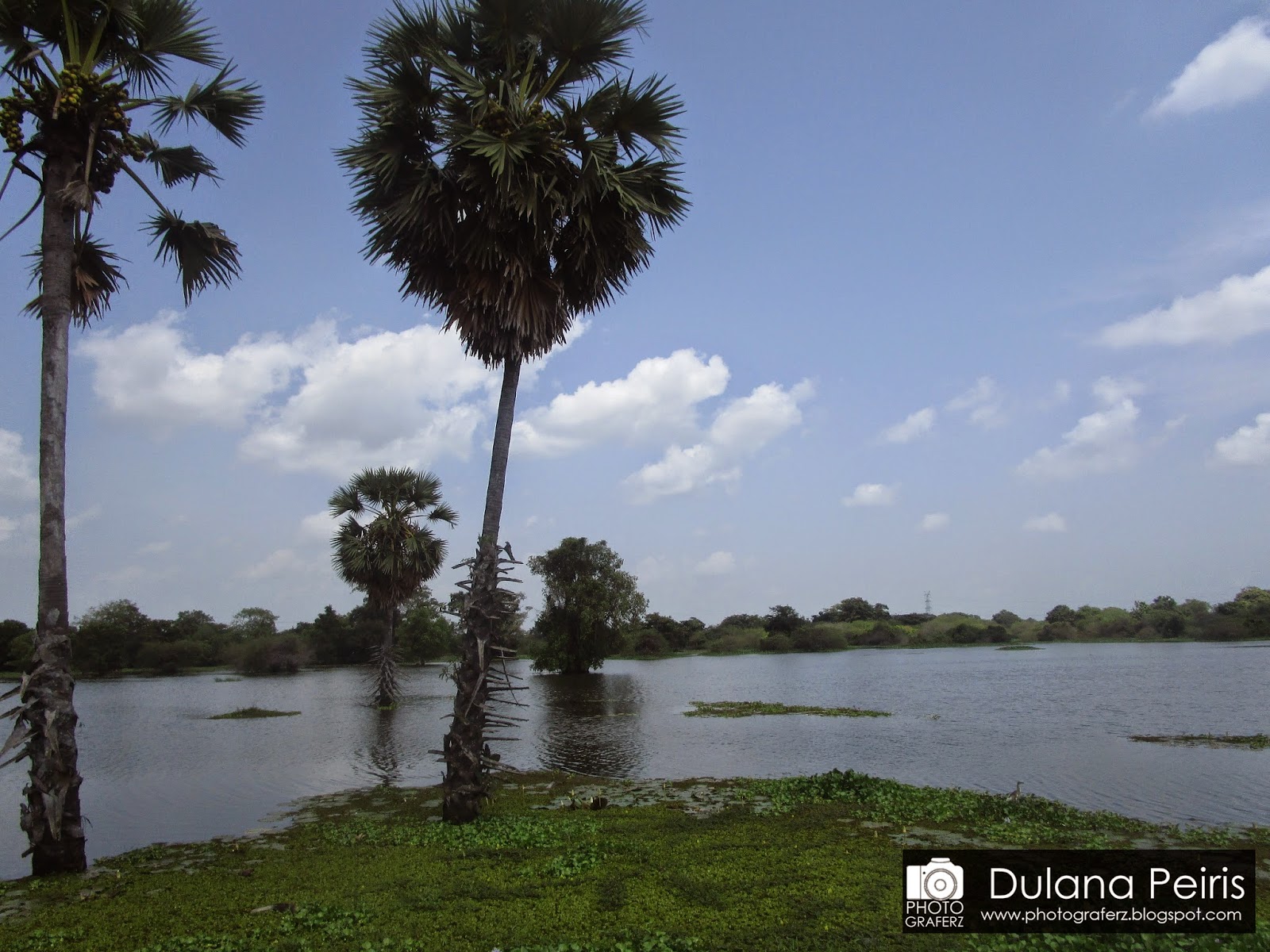 Photograferz: Yalpanam : A Glance