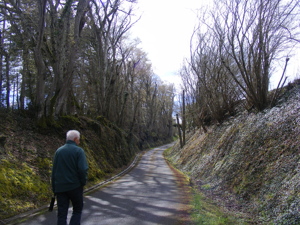 Days on the Claise: Walking Near La Roche Posay