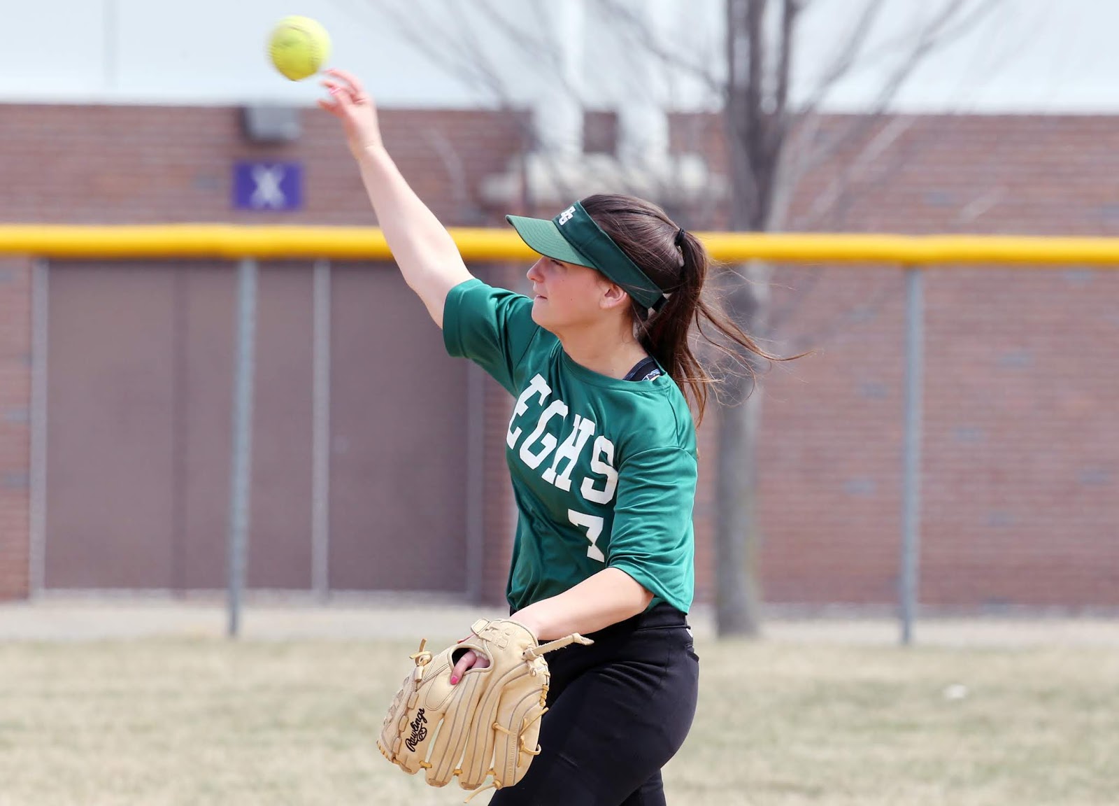 Mark Kodiak Ukena: IHSA Varsity Girls Softball: Elk Grove vs Glenbrook ...