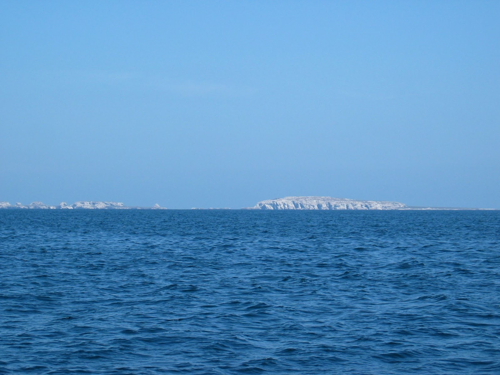 Sea Reach Adventures: Passage from Nuevo Vallarta, Mexico to Hilo, Hawaii