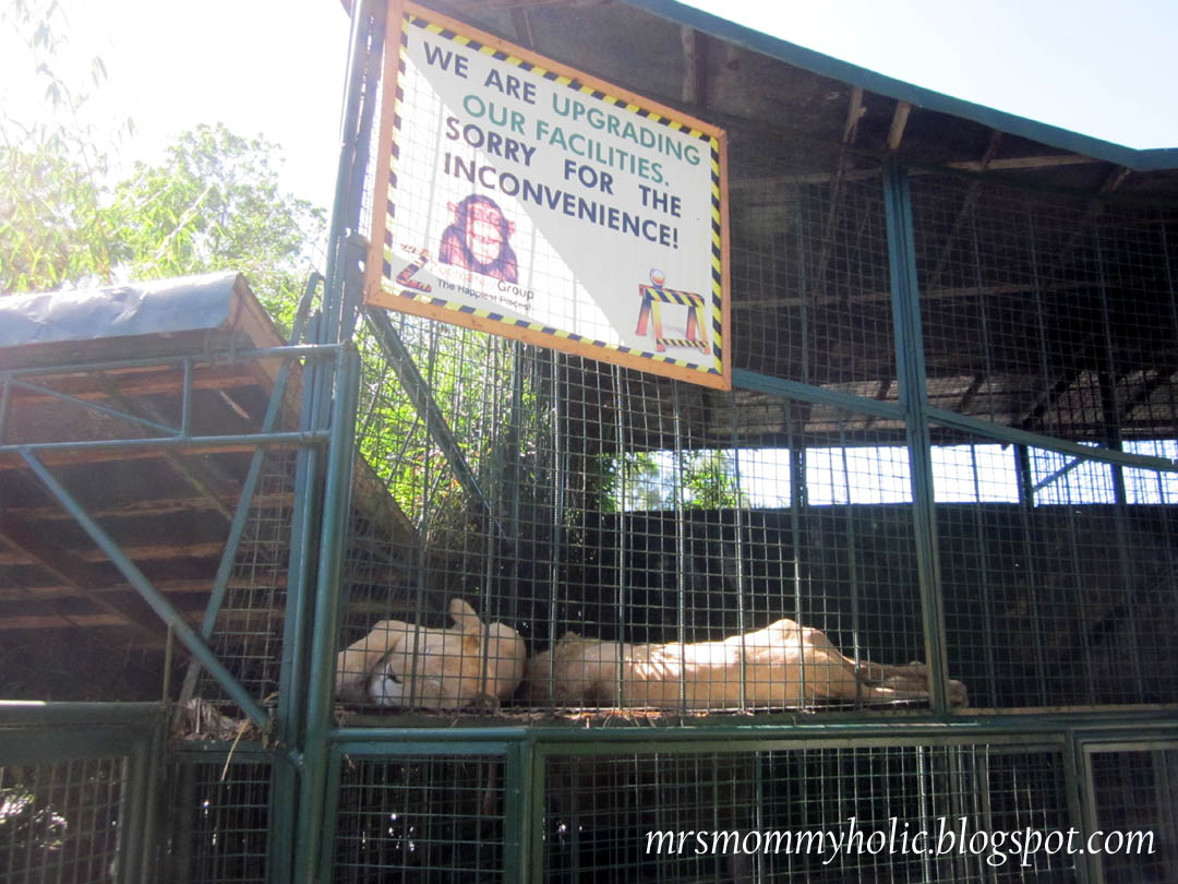 MrsMommyHolic: Residence Inn Zoo in Tagaytay