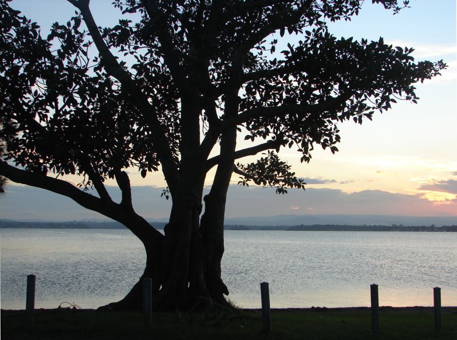 Snap Happy Birding: Shingle Splitters Point: late afternoon photo shoot